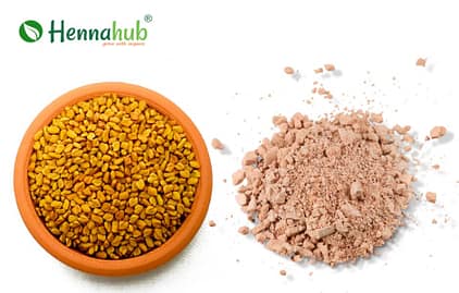 Methi Powder for Hair: The Ayurvedic Solution