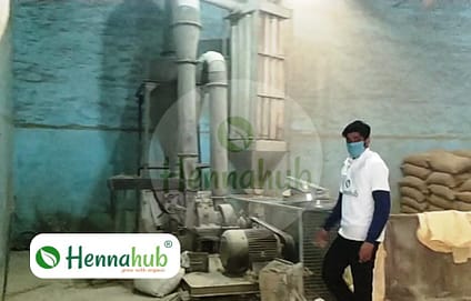 Understanding the Complete Henna Powder Production Process