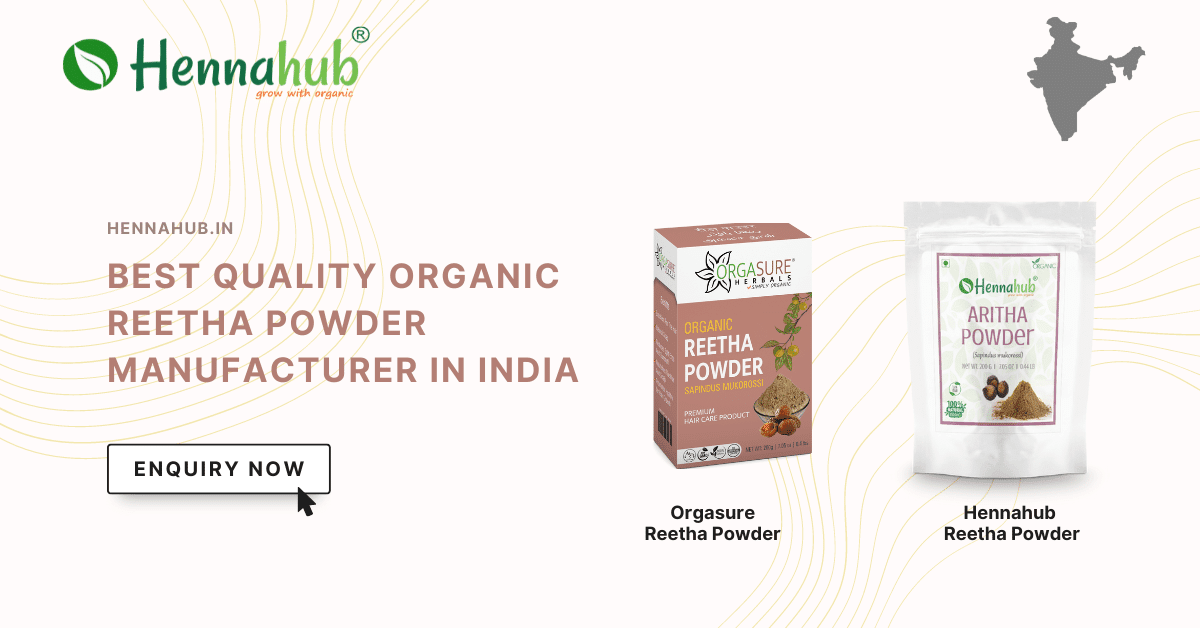 Best quality Reetha powder manufacturer in India – Hennahub India